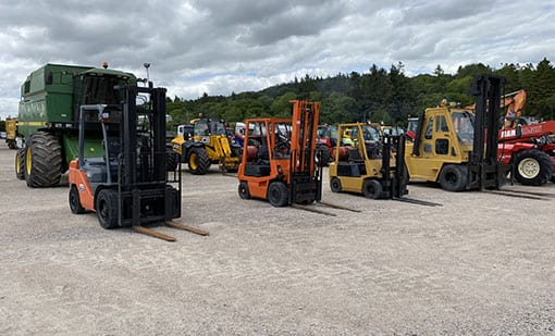 First Thainstone Online sale of the year sees high demand from buyers ...